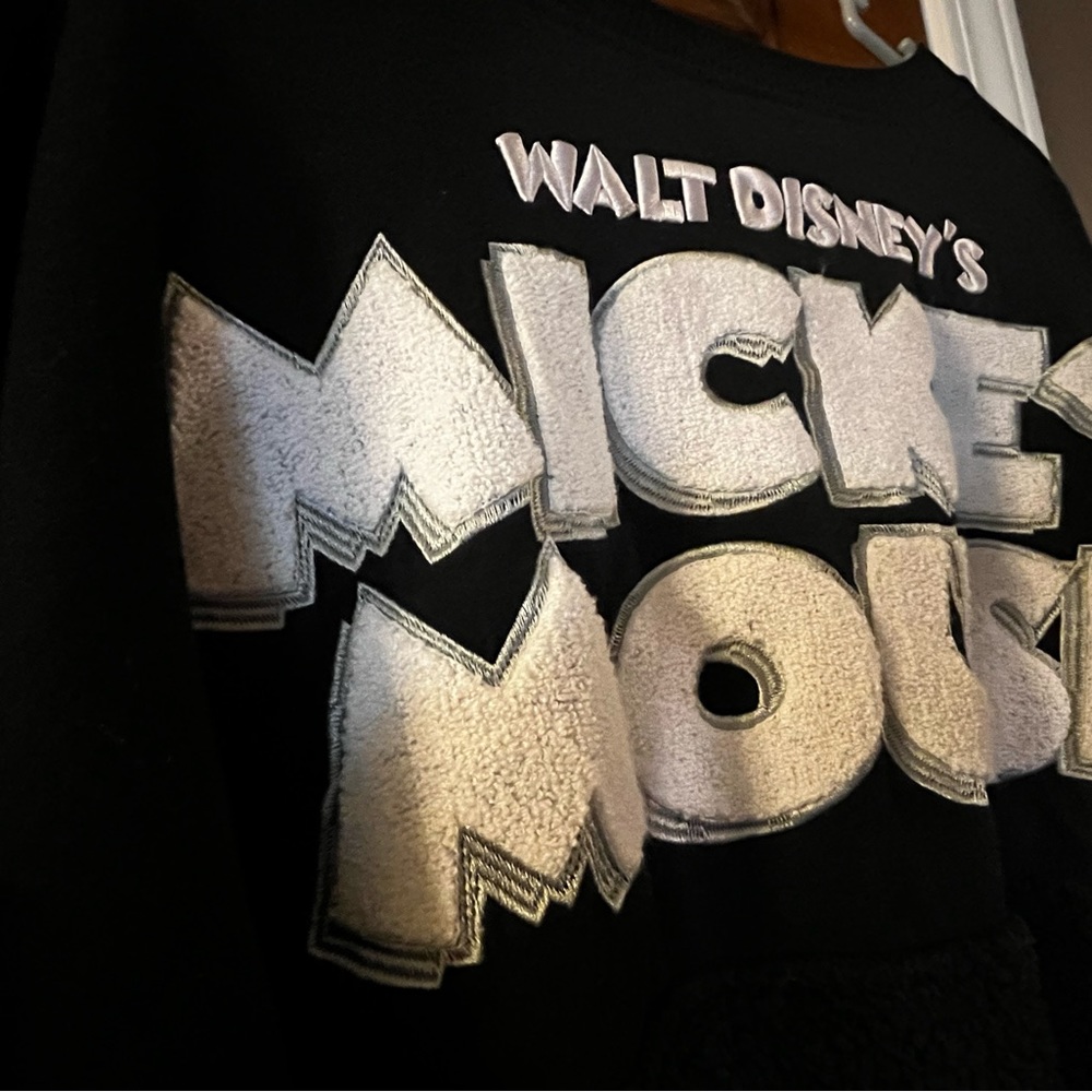 Rare Disney Store Steamboat Willy/Mickey Mouse Fuzzy … - Gem